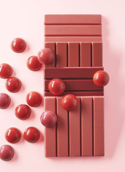 Sosa - Ingrédients d'exception pour les particuliers – Valrhona Collection